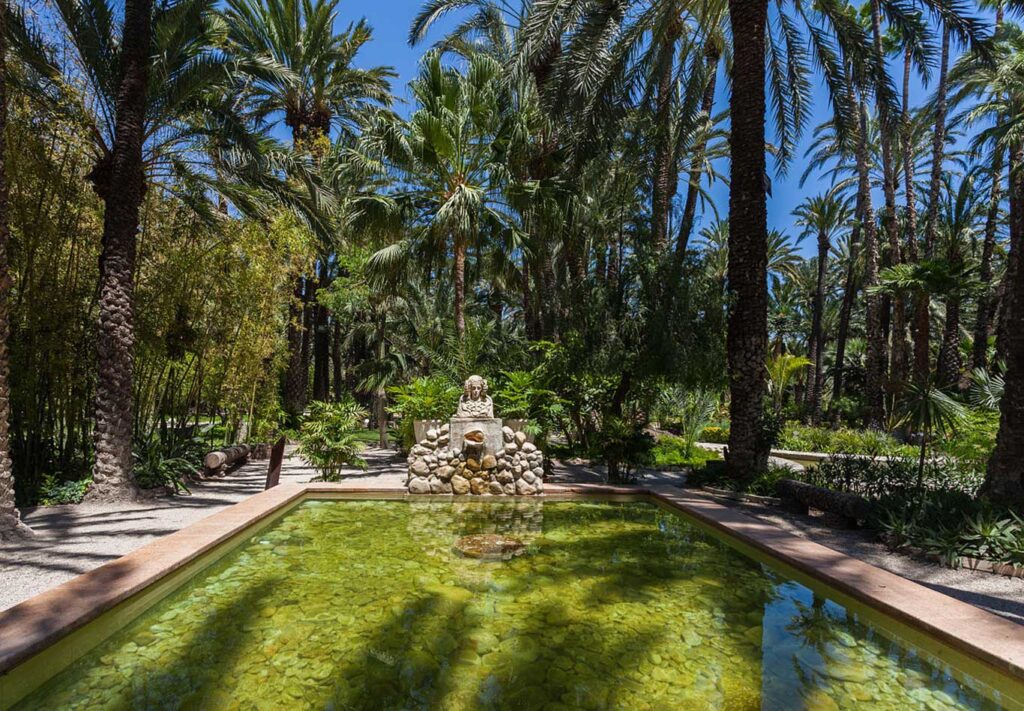 Elche und sein Palmenhain – Breeze Tours